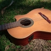 SHEEPDOG ACOUSTIC CHORDS (ver 2) by Mando Diao @ Ultimate-Guitar.Com